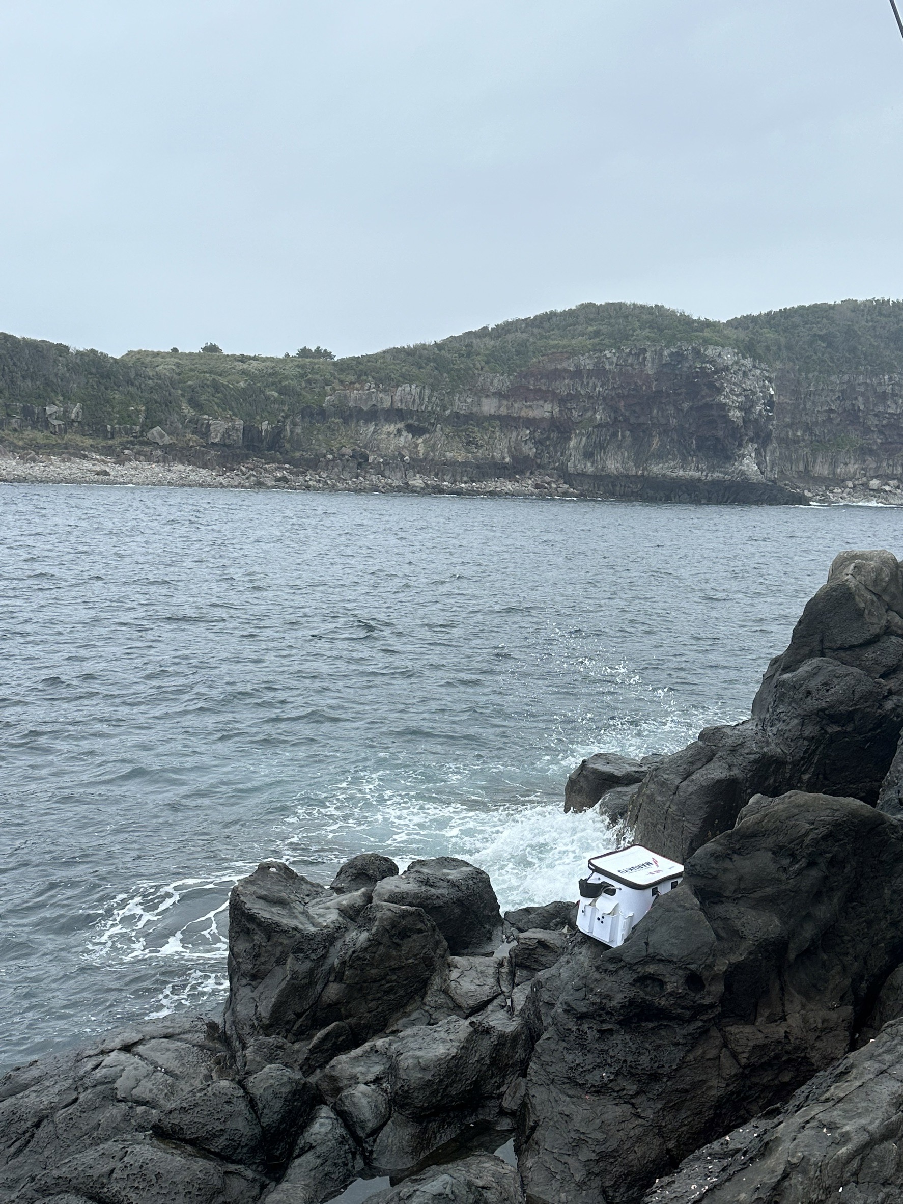 42cmを頭にオナガ、クチブトを2ケタ釣り〜長崎県大瀬戸 | マルキユー九州 フカセ釣り情報